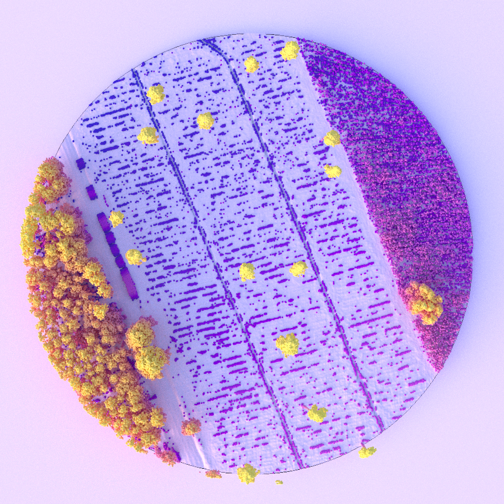 Fernerkundung für das Monitoring von Wäldern in Zeiten des Klimawandels